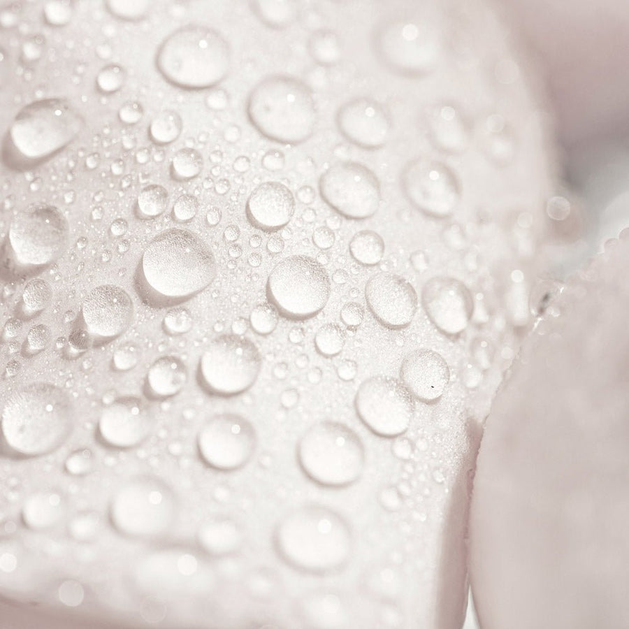 Rose Water Toner | Vegan, Clean | Fleur & Bee